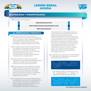 LESION RENAL AGUDA. resumen de harrison med int. | PDF