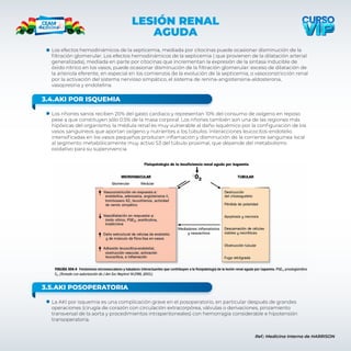 LESION RENAL AGUDA. resumen de harrison med int. | PDF
