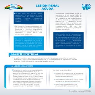 LESION RENAL AGUDA. resumen de harrison med int. | PDF