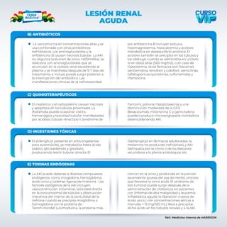 LESION RENAL AGUDA. resumen de harrison med int. | PDF