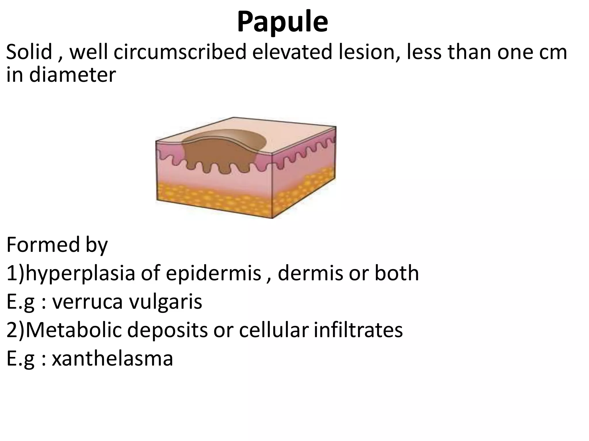 Lesions and abrasions in skin | PDF