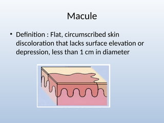 Lesions and Abrasions, Alopecia, Dermatitis and Eczema.pptx