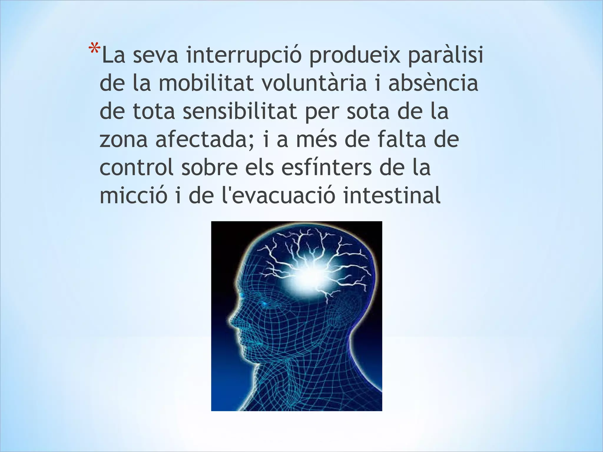 Lesions medul·lars i celebrals | PPT