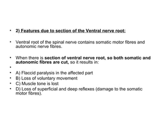Lesions of the spinal cord | PPT