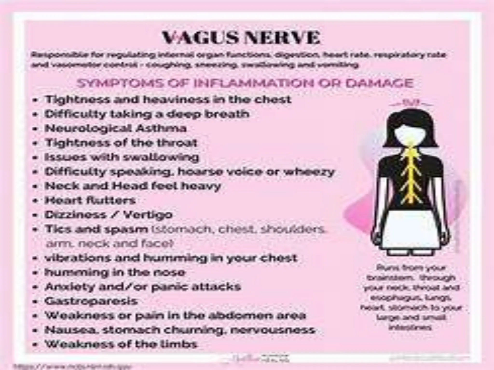 LESIONS OF THE VAGUS NERVE.ppt..........x | PPTX