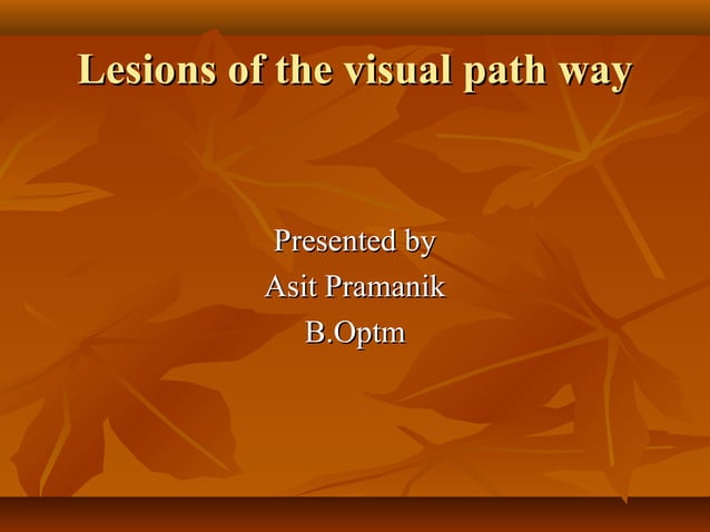 Lesions of the visual pathway | PPT | Eye and Vision Conditions ...