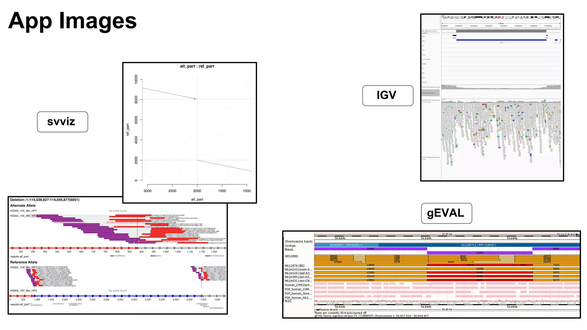 Lesley chapman svcurator app for manual inspection of svs building a ground truth dataset | PDF