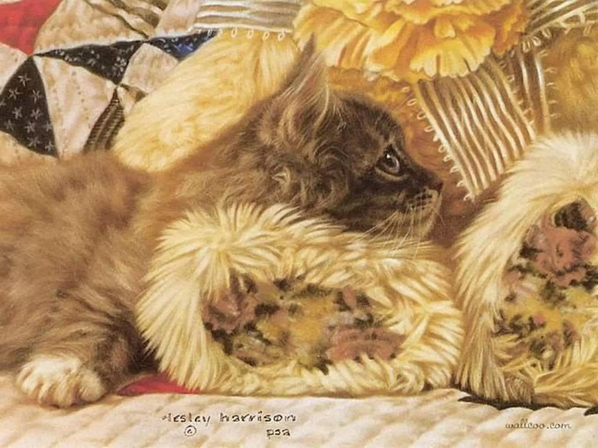 Lesley Harrison ~ Wildlife Painter | PPSX