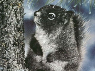 Lesley Harrison ~ Wildlife Painter | PPSX