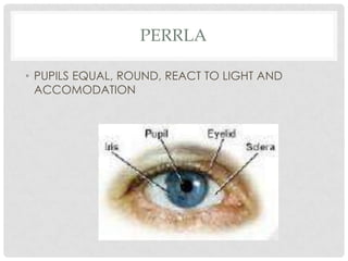 Eyes and Ears Abbreviations | PPTX