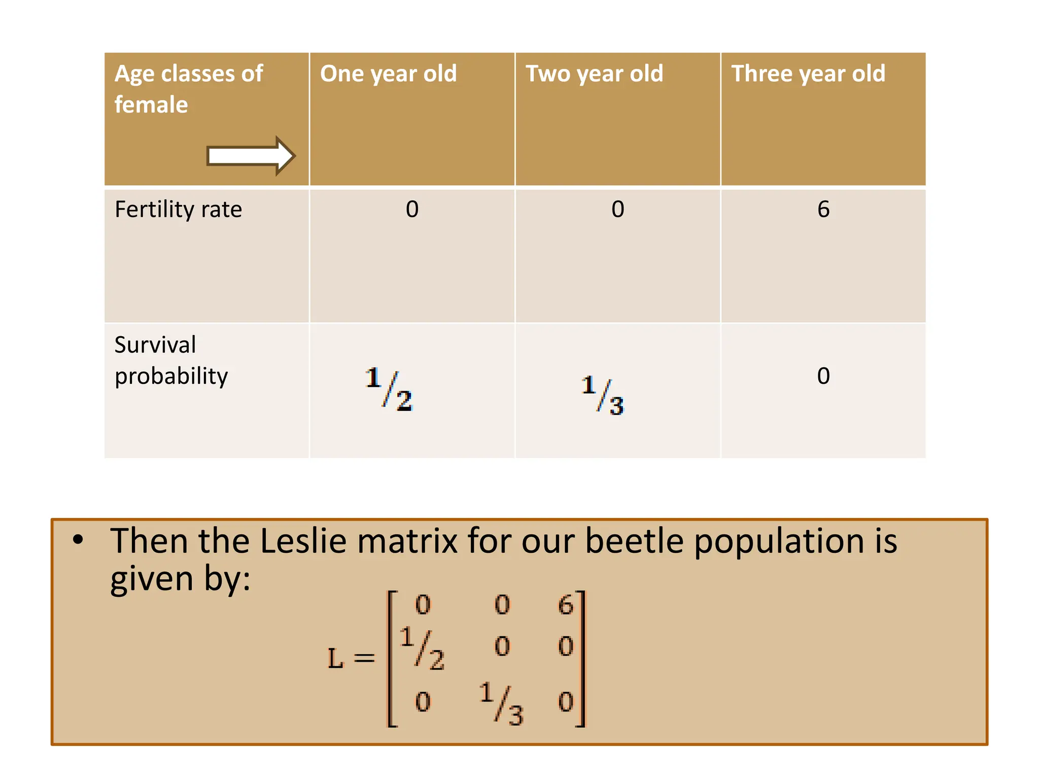 Importance of Leslie Matrix and age distribution towards population projection | PPT