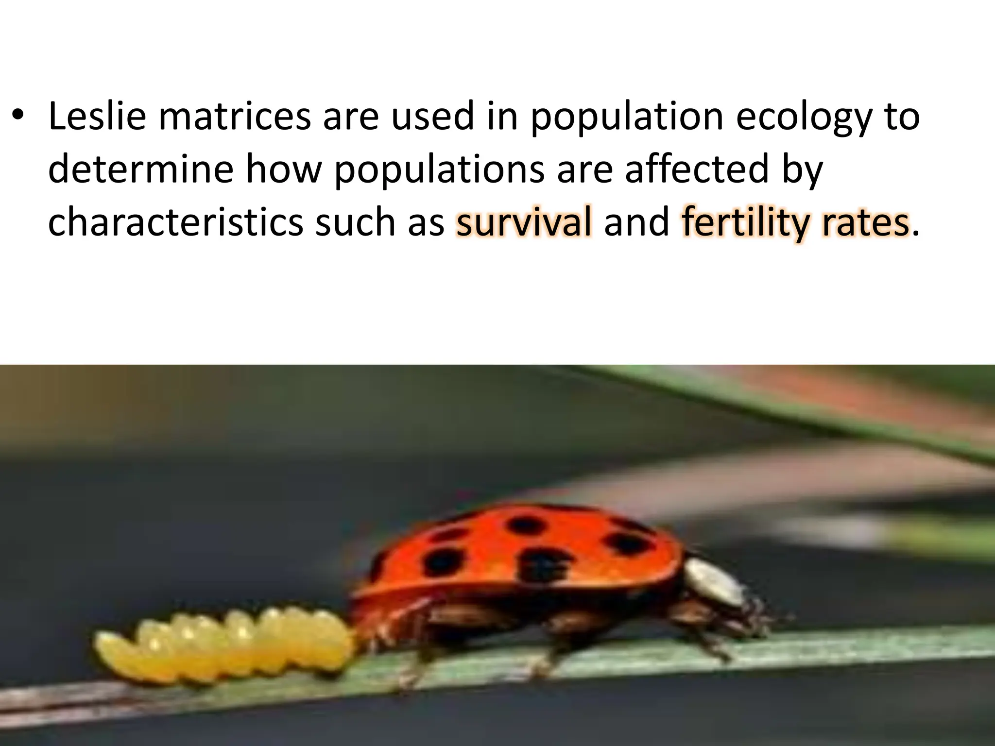 Importance of Leslie Matrix and age distribution towards population ...