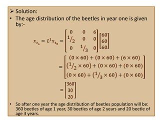 Importance of Leslie Matrix and age distribution towards population ...