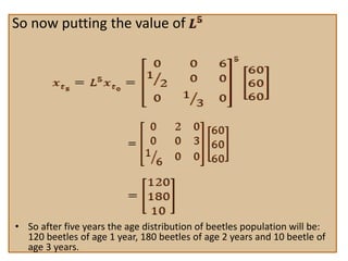 Importance of Leslie Matrix and age distribution towards population ...