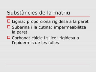 Les membranes plasmàtica i de secreció | PPT