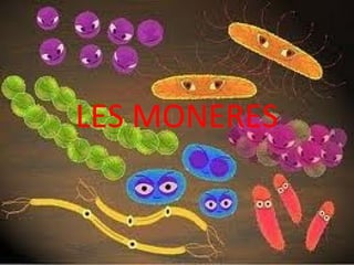 Les moneres | PPT