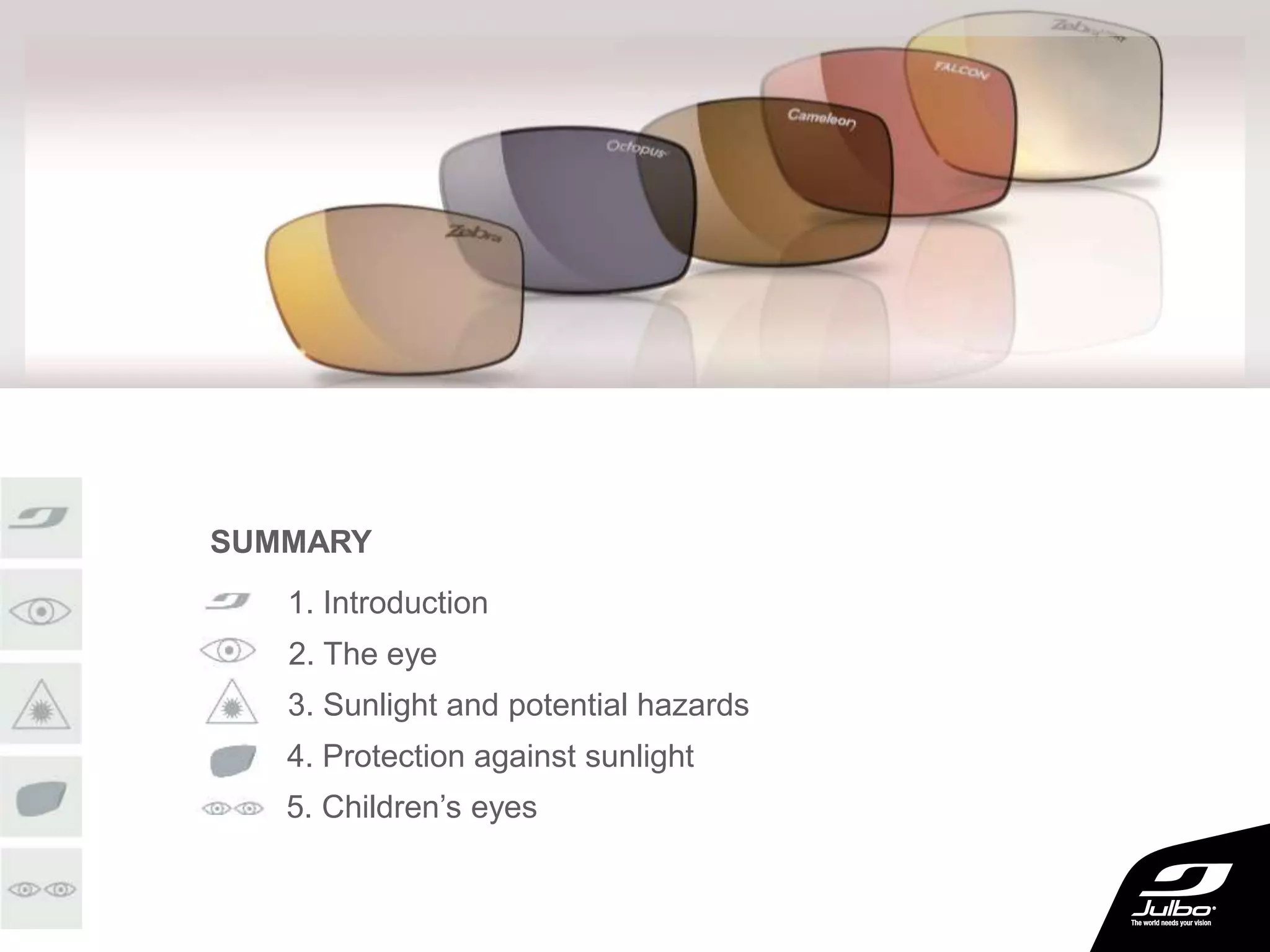 The sun and our eyes: protection against sunlight | PPTX