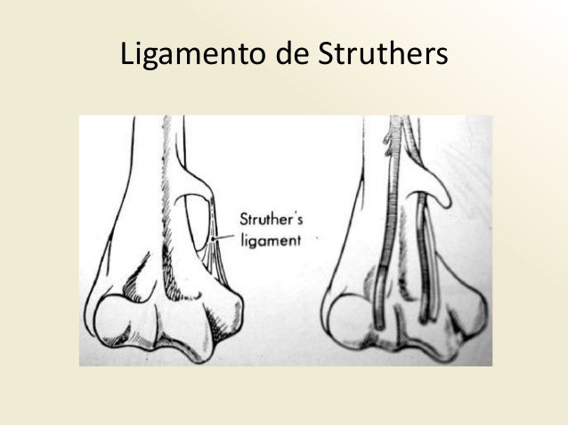 Lesão nervosa periferica