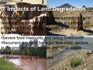 Lesotho | PDF