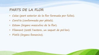 Les parts de la planta i la flor | PDF