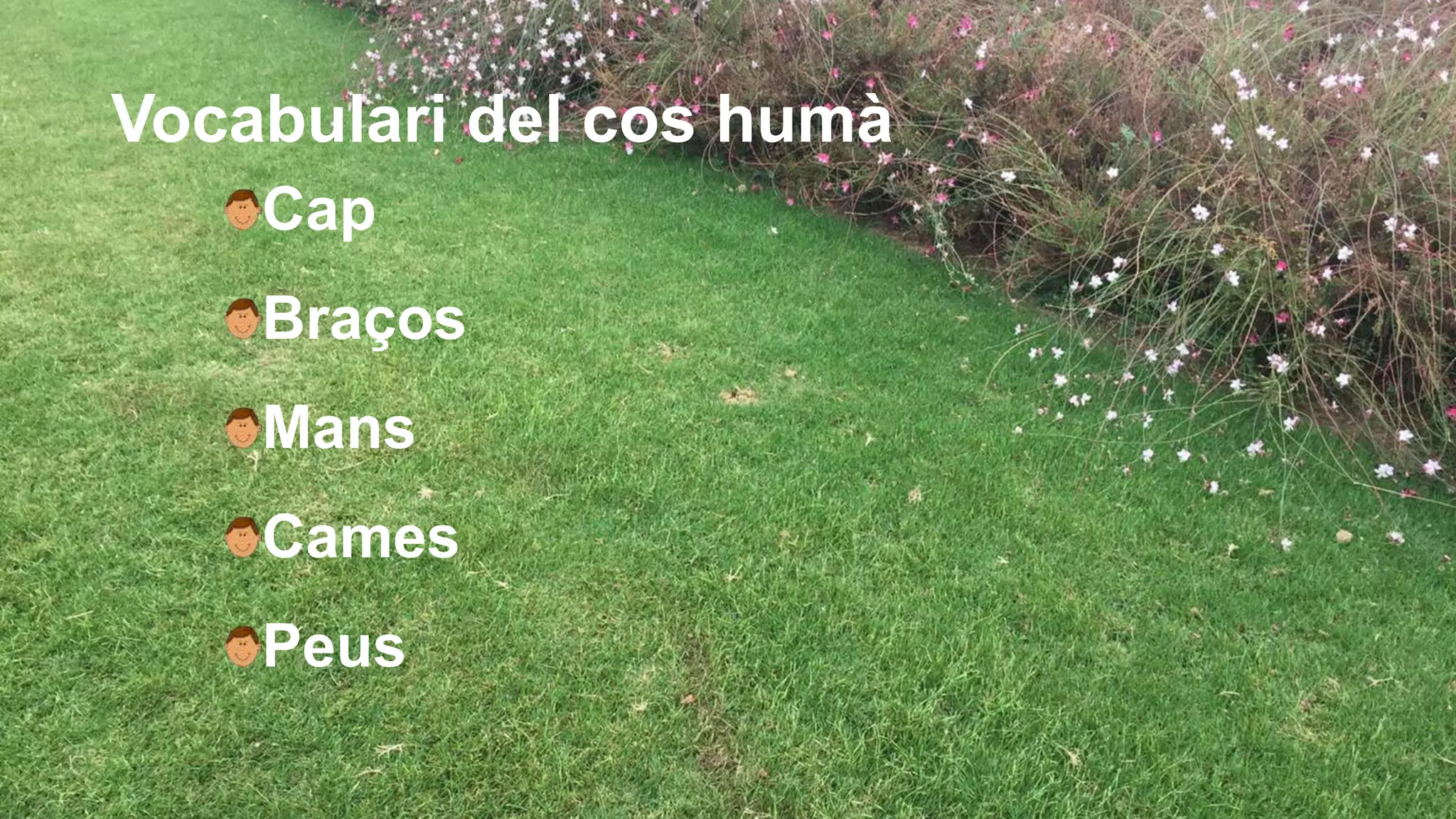 Les parts del cos | PPT