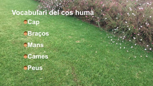 Les parts del cos | PPT