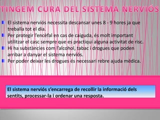 Les persones ens relacionem | PPT