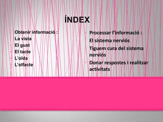 Les persones ens relacionem | PPT