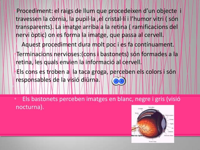 Les persones ens relacionem | PPT