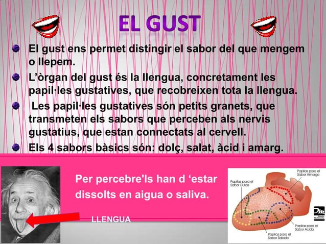 Les persones ens relacionem | PPT