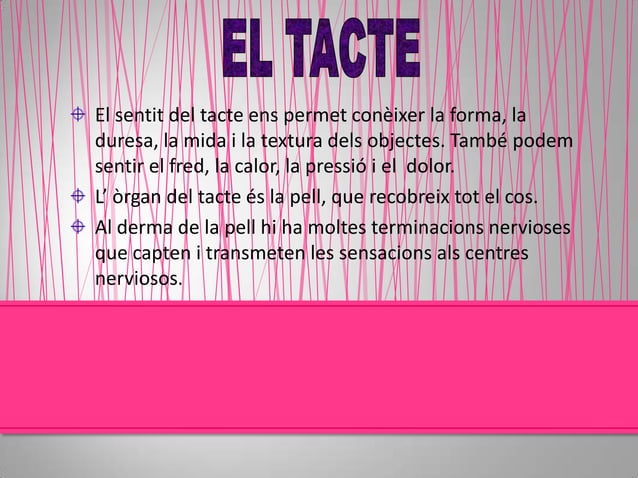 Les persones ens relacionem | PPT