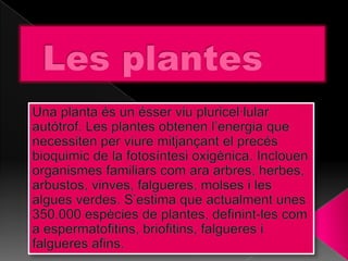 Les plantes! | PPT