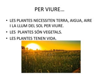 Les plantes | PPT