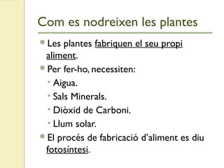 Les plantes | PPT