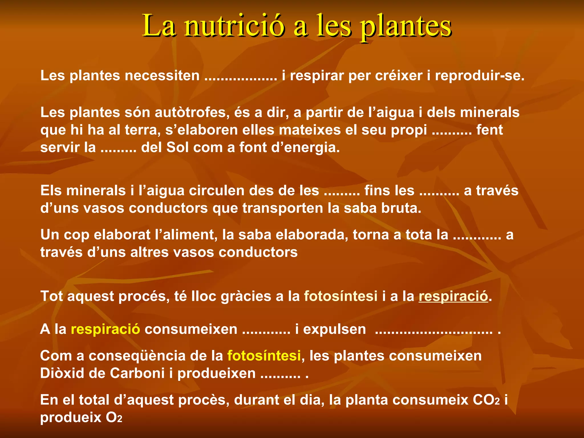 Les plantes (2) - funcions | PPT