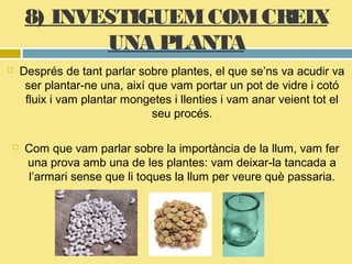 Les plantes 1 a | PPT