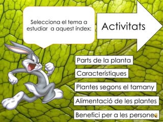 Les plantes final ppt | PPTX