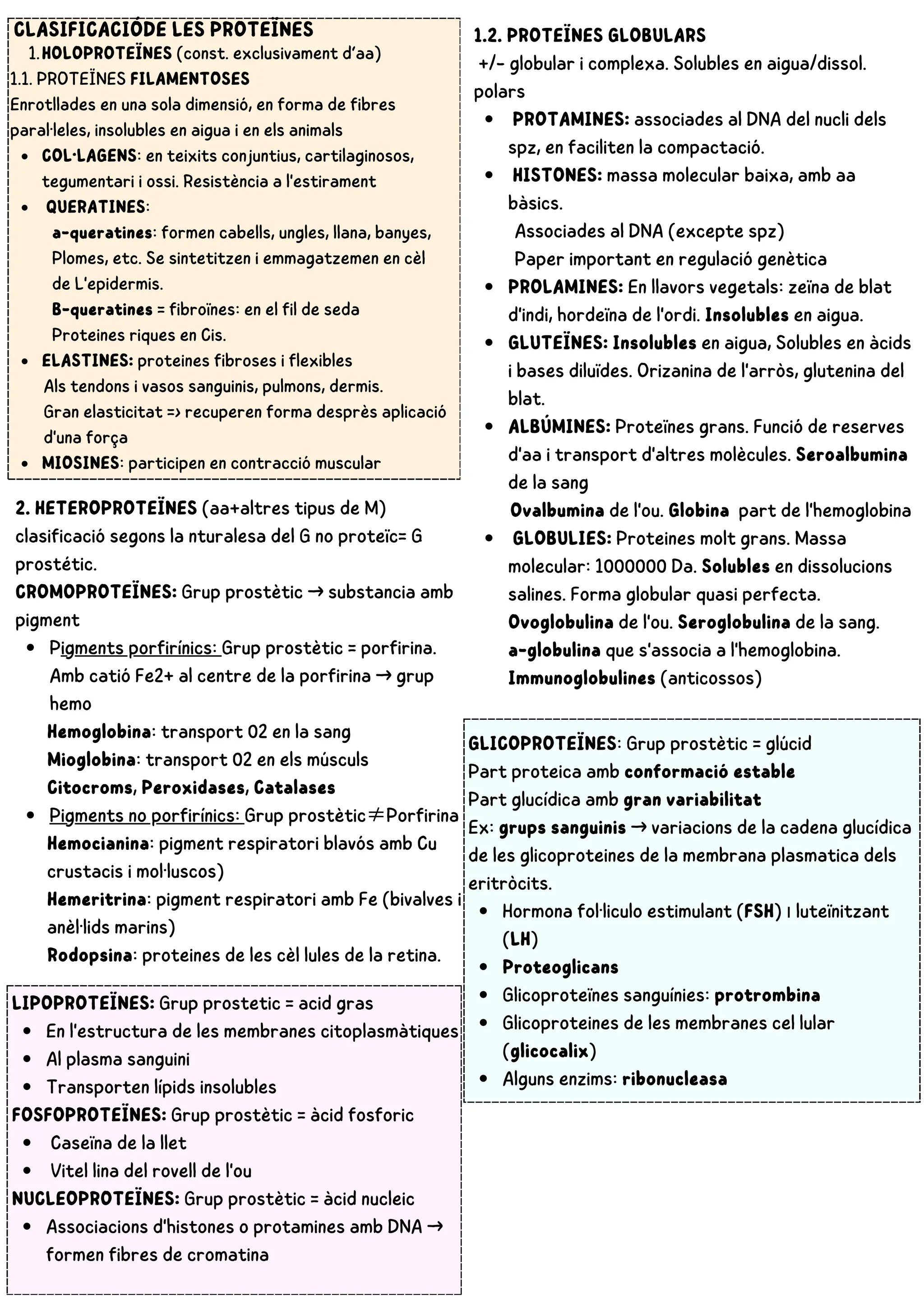 Les proteines. Biología 2n de batxillerat. | PDF