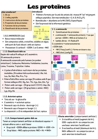 Les proteines. Biología 2n de batxillerat. | PDF
