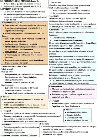 Les proteines. Biología 2n de batxillerat. | PDF