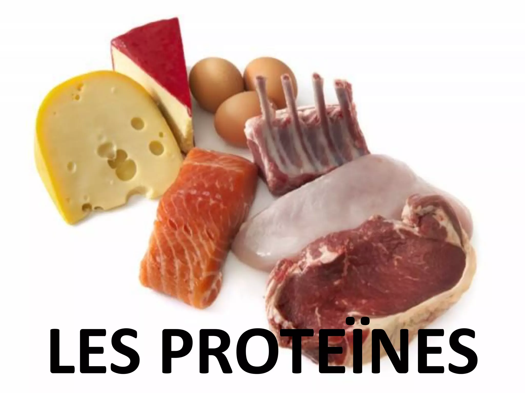 Les proteïnes | PDF