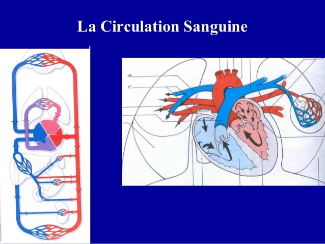 maladies et chirurgie des valves cardiaques - meurin