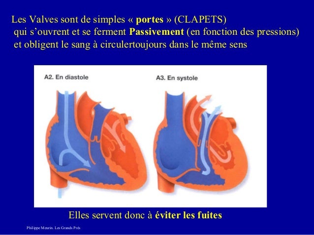 maladies et chirurgie des valves cardiaques - meurin