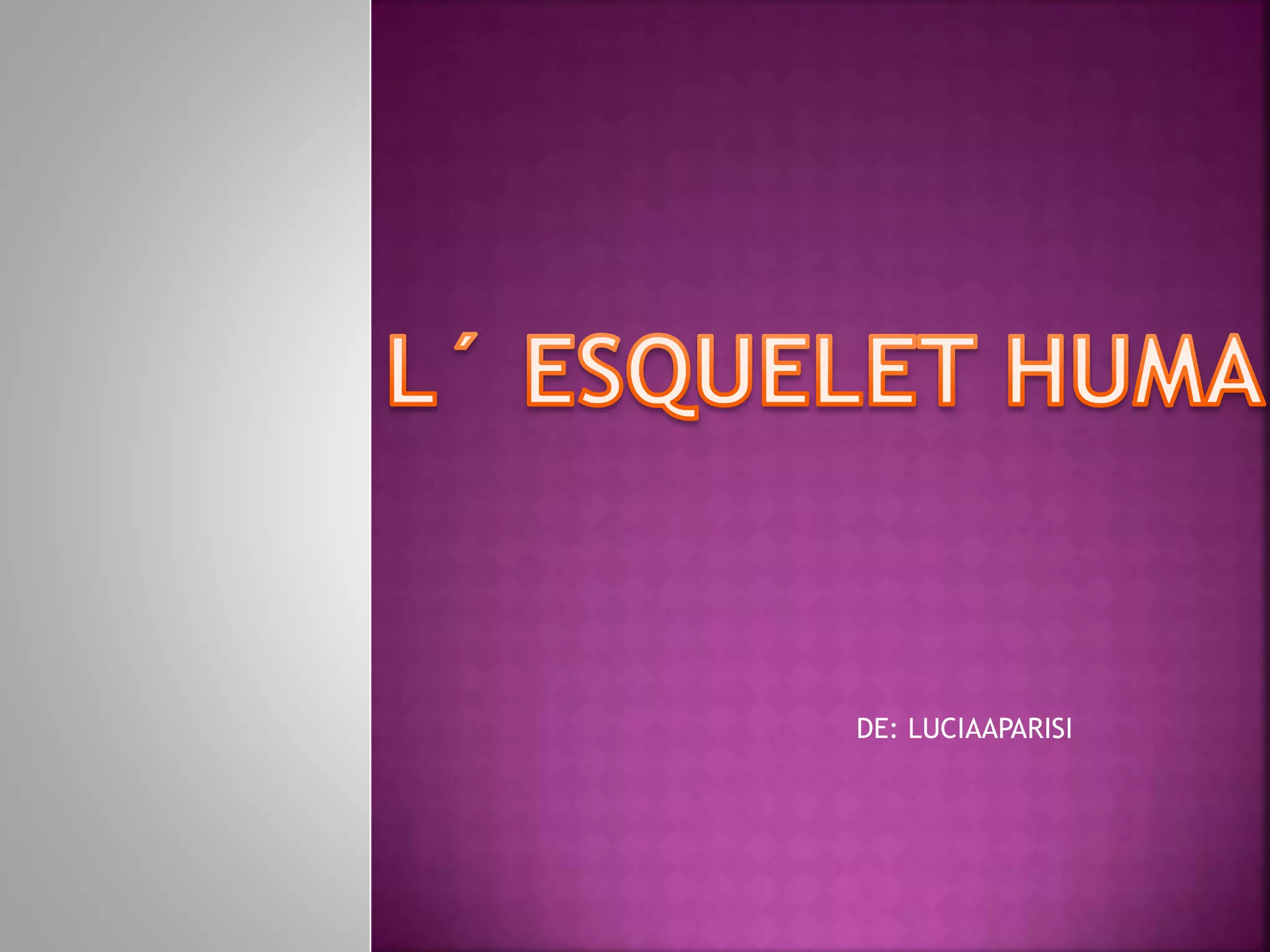 L´ esquelet huma y les seues parts | PPT