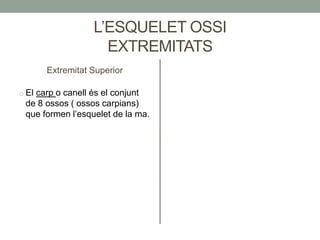 L’esquelet ossi | PPTX