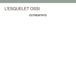 L’esquelet ossi | PPTX