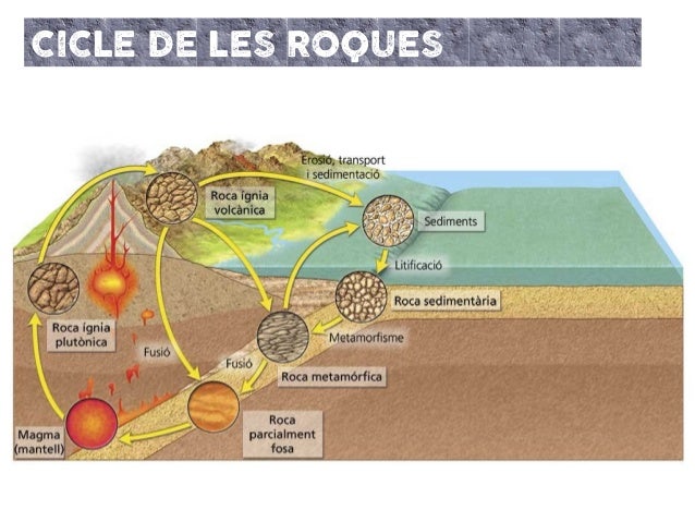 LES ROQUES. 1r Batx. CTMA