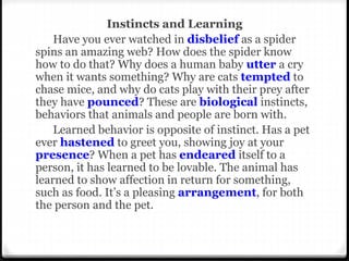 4th Grade Journeys Lesson 11 Vocabulary Presentation | PPTX