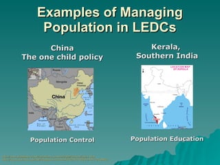 Less babies please | PPT