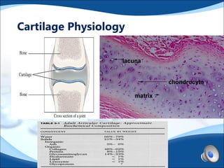 LESS current treatment of cartilage defects | PPT